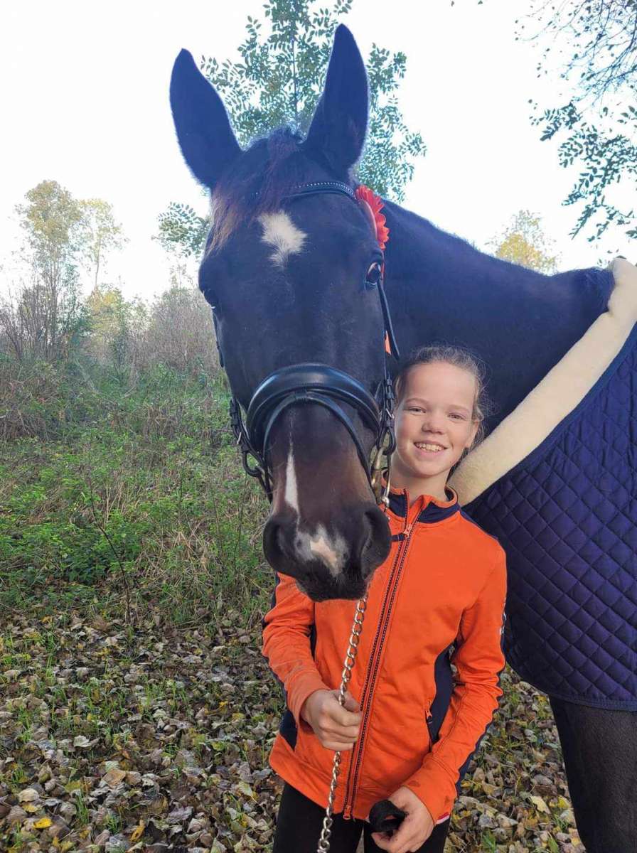 Horsify - Betrouwbaar dressuurpaard