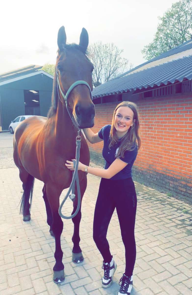 Horsify - Betrouwbare Ruiter zoekt Paard/Pony