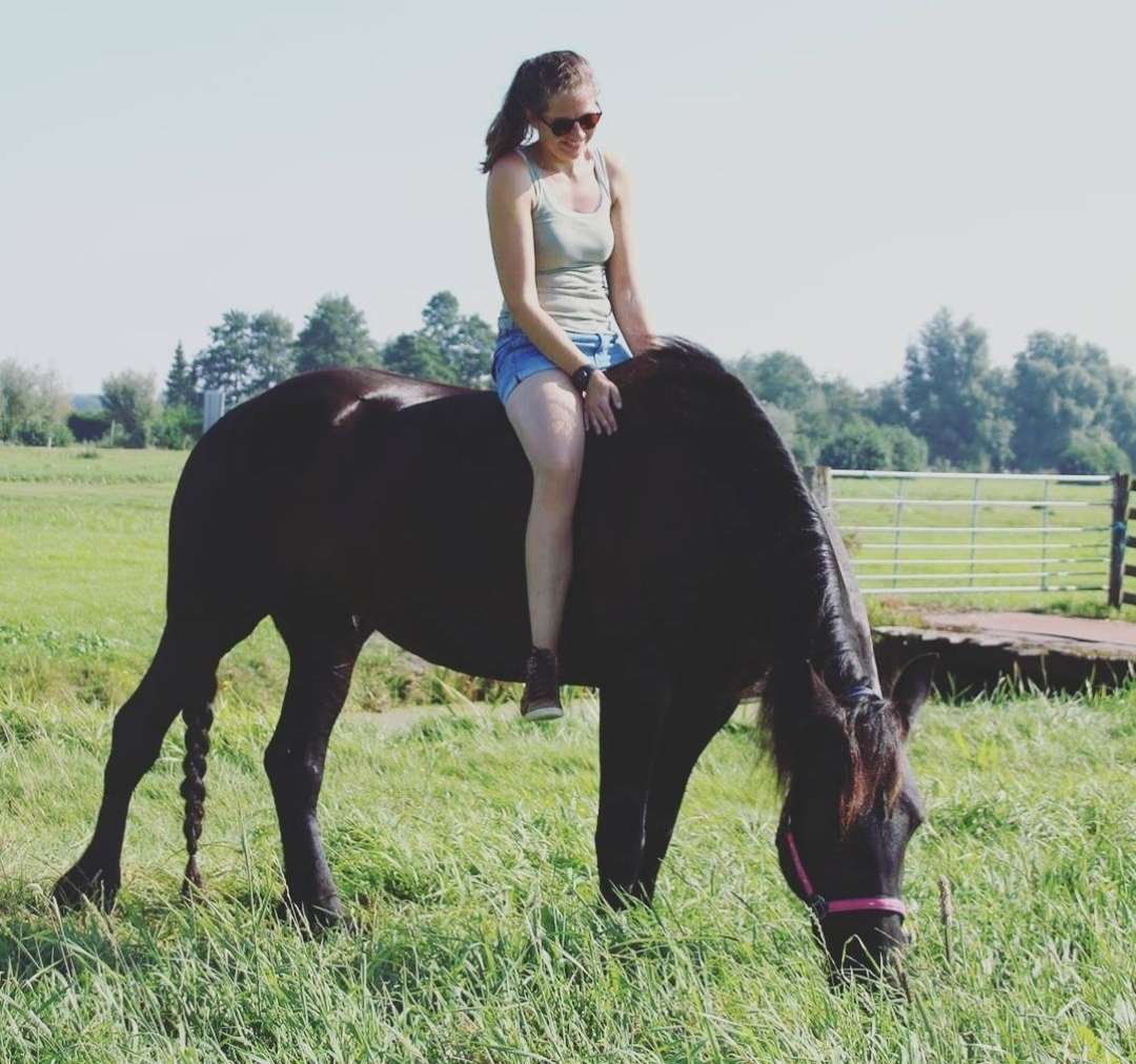 Horsify - Wie wil mij helpen?