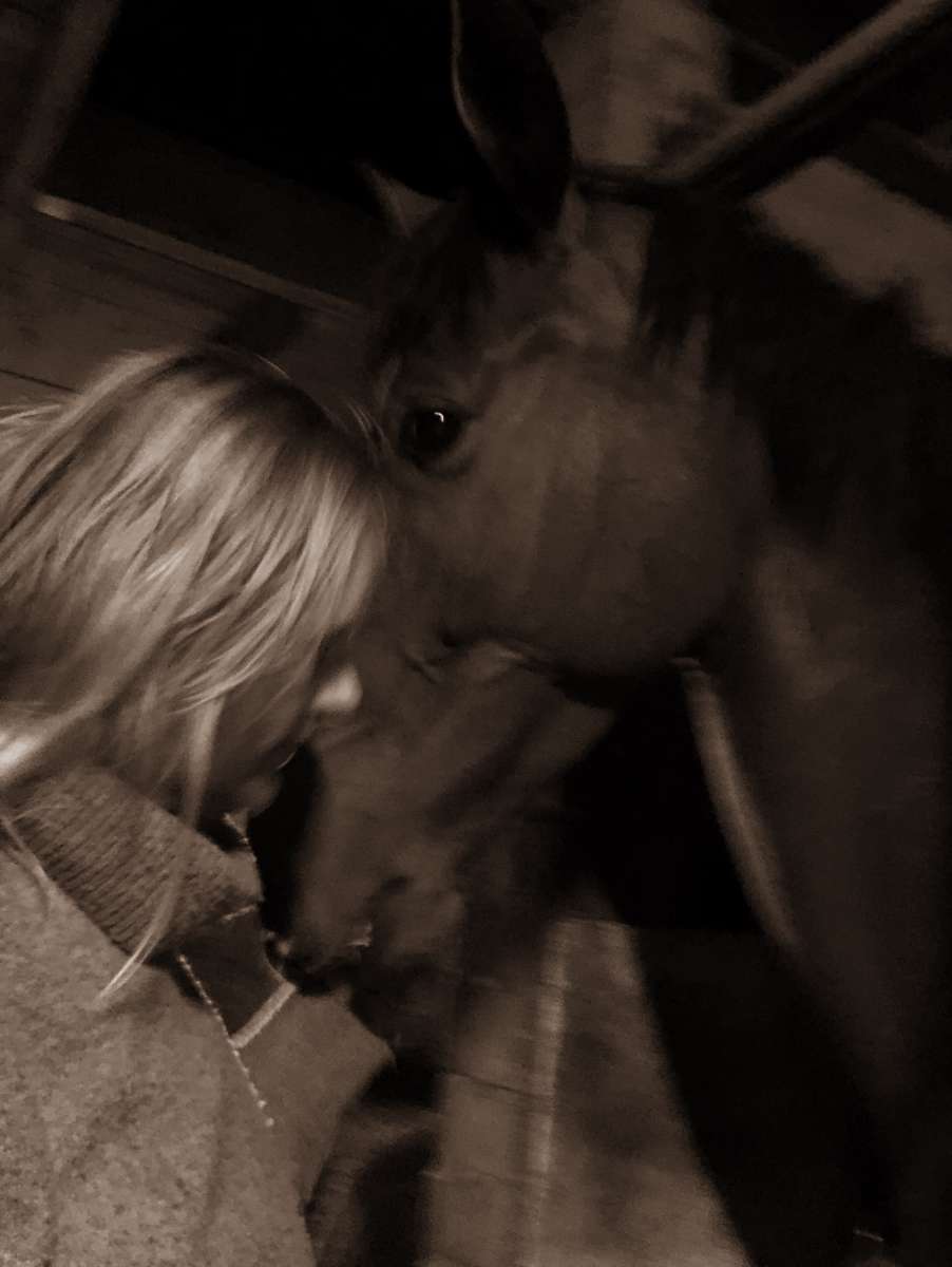 Horsify - Amazone (53) zoekt paard