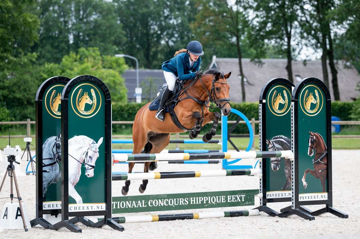 Horsify - Allround sport d-pony