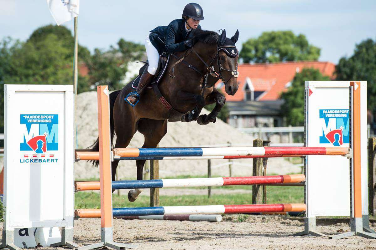 Horsify - Bijrijder/verzorger voor allround sportpaard