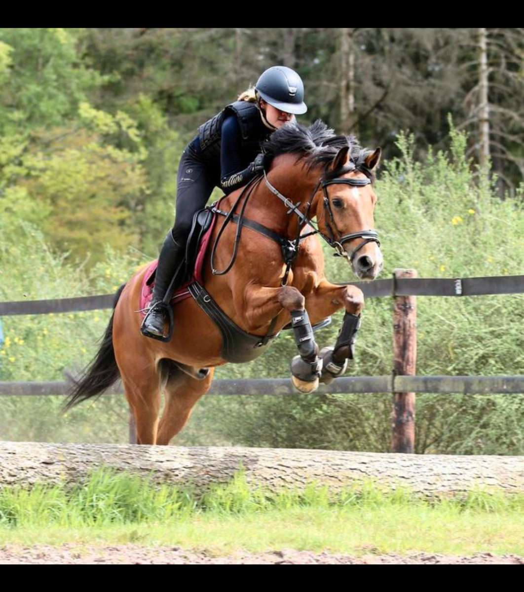 Horsify - Het leukste en uitdagendste ponykamp van Nederland