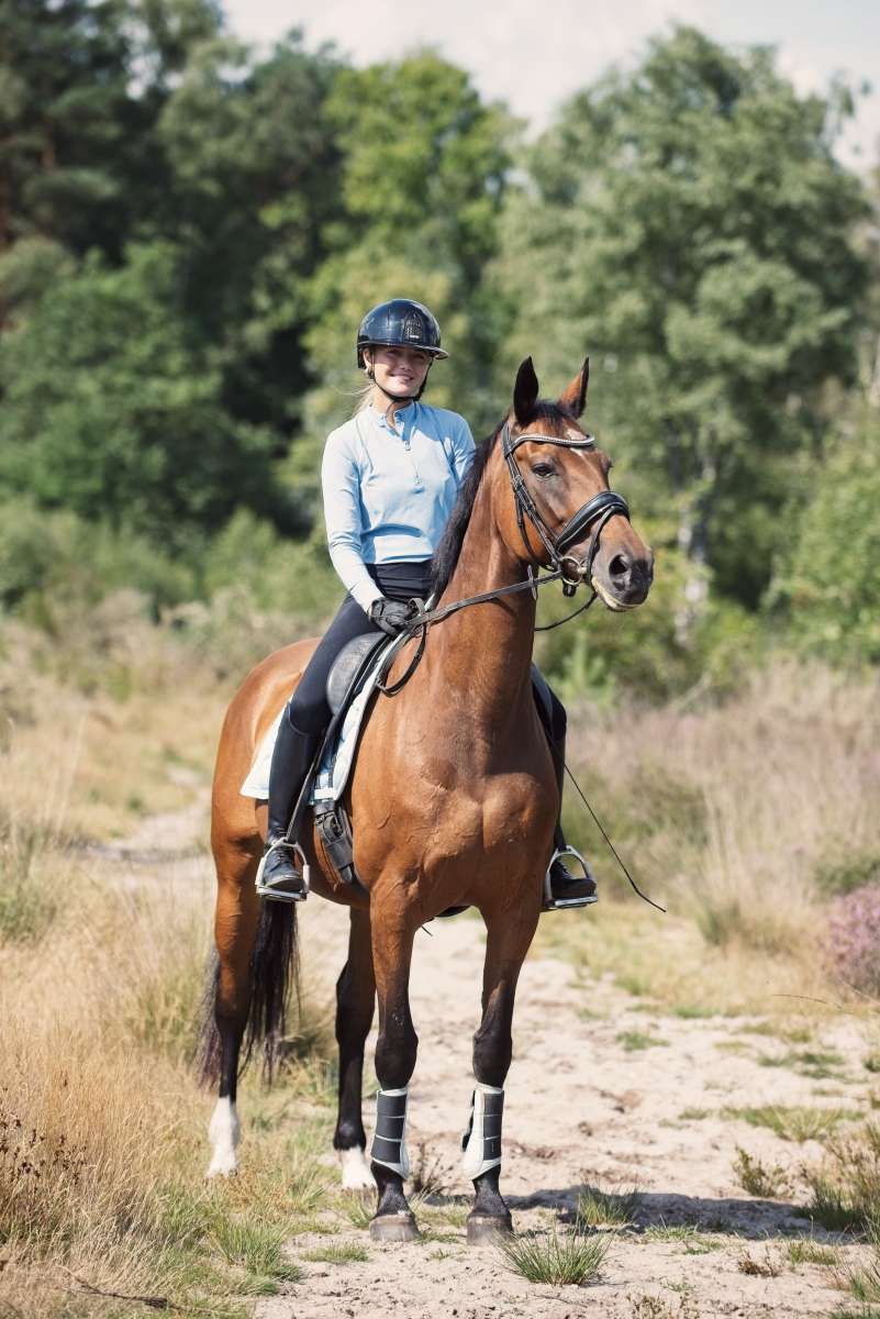 Horsify - Te koop KWPN dressuurmerrie