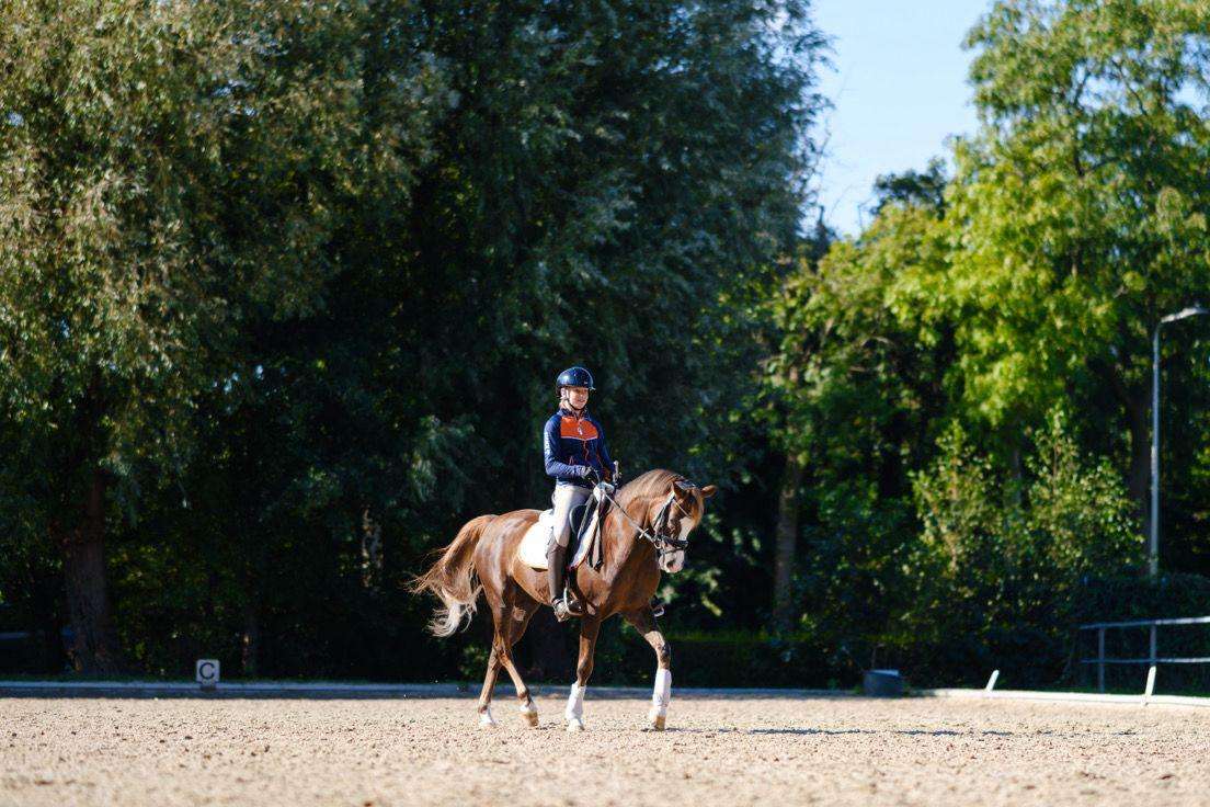 Horsify - Mijn once in a lifetime pony te koop. ⭐️ Super ster: Wenums ...